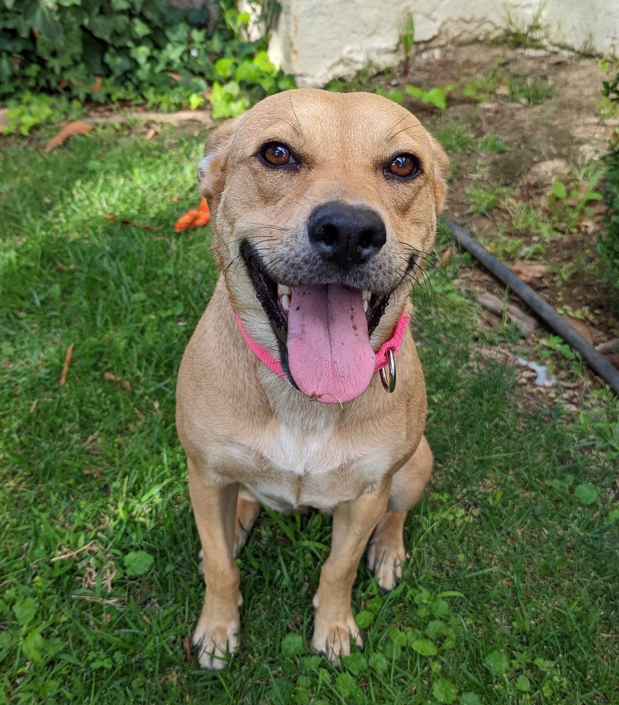 What are your fitness goals for 2023? - Fitbit Community